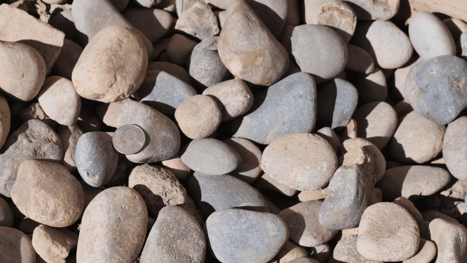 Shop All Landscaping & Hardscape Materials Now - Buildology
